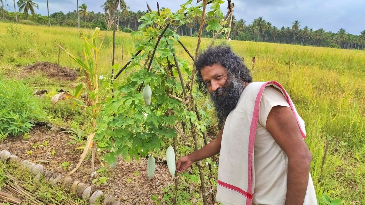 बच्चे नहीं जाते स्कूल, घर में 70 से अधिक फल के पेड़, 100% प्राकृतिक ...