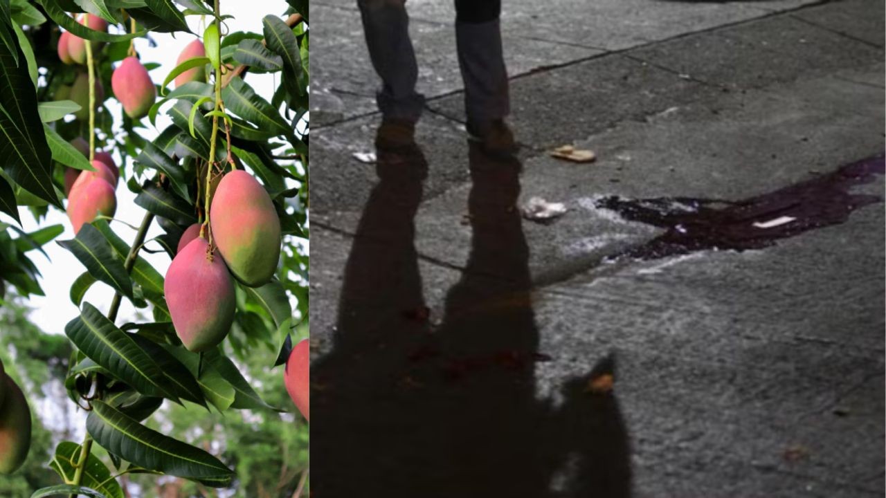 आम को लेकर हुए झगड़े के बाद हुआ था मर्डर, पढ़िए 40 साल तक चले इस केस की ...