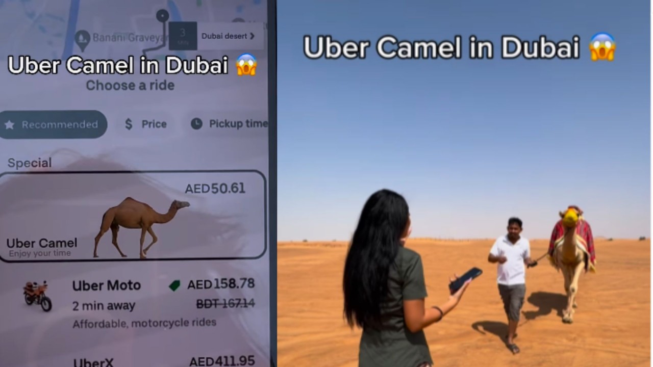 रेगिस्तान में फंसी महिला टूरिस्ट, Uber में बुक की कार, पहुंच गया ऊंट ...